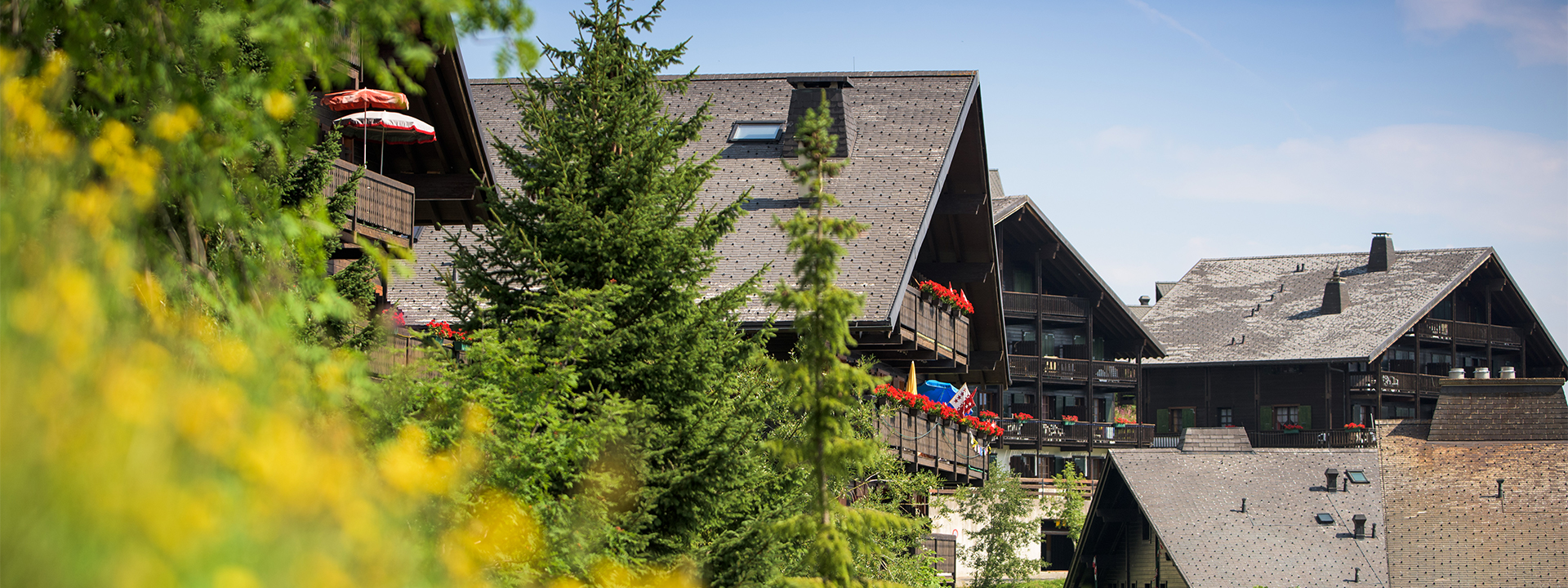 Champoussin : Région Dents du Midi, séjours et activités à Champoussin